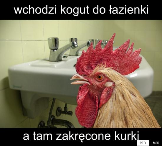 Suchar | Najlepsze Demotywatory, bardzo śmieszne obrazki, głupie memy i ...